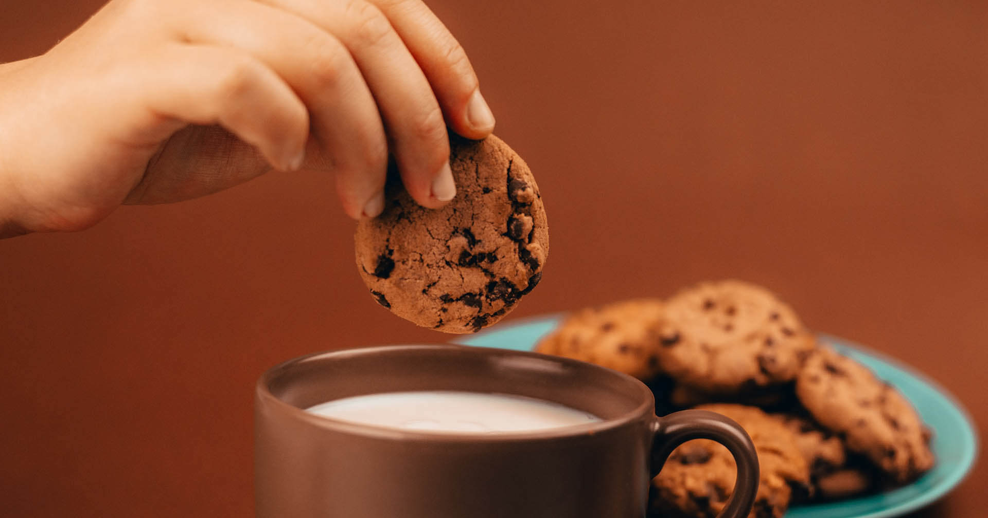 Cookies and Privacy Policy - Kreativum